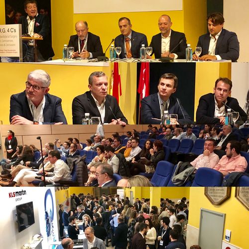 S.O.R.G. | News Detail